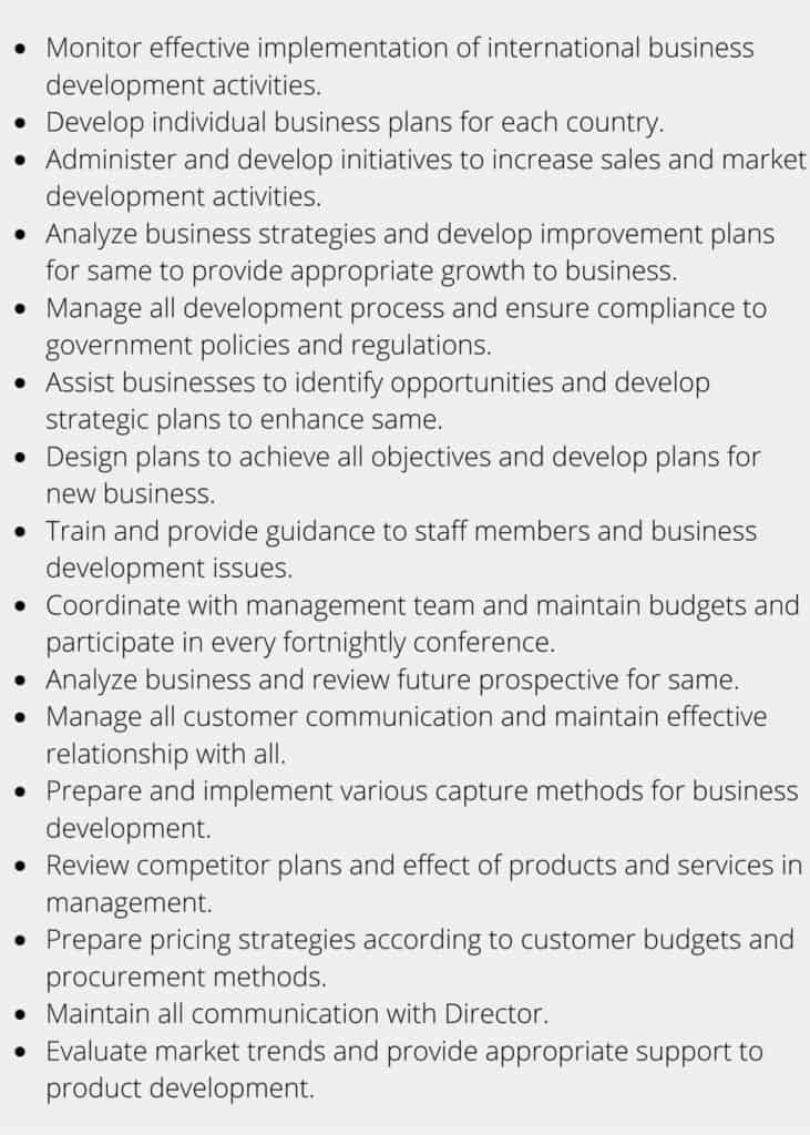 What Does An International Business Development Manager Do 